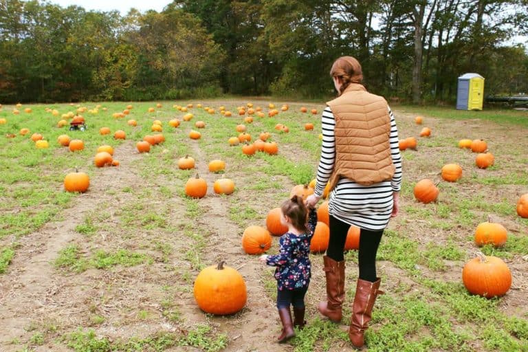 Pumpkin Picking and Fun Fall Activities for Kids | The Mom Friend
