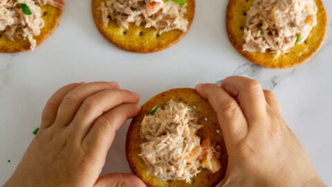 15 Tuna Recipes for Toddlers and Kids | The Mom Friend
