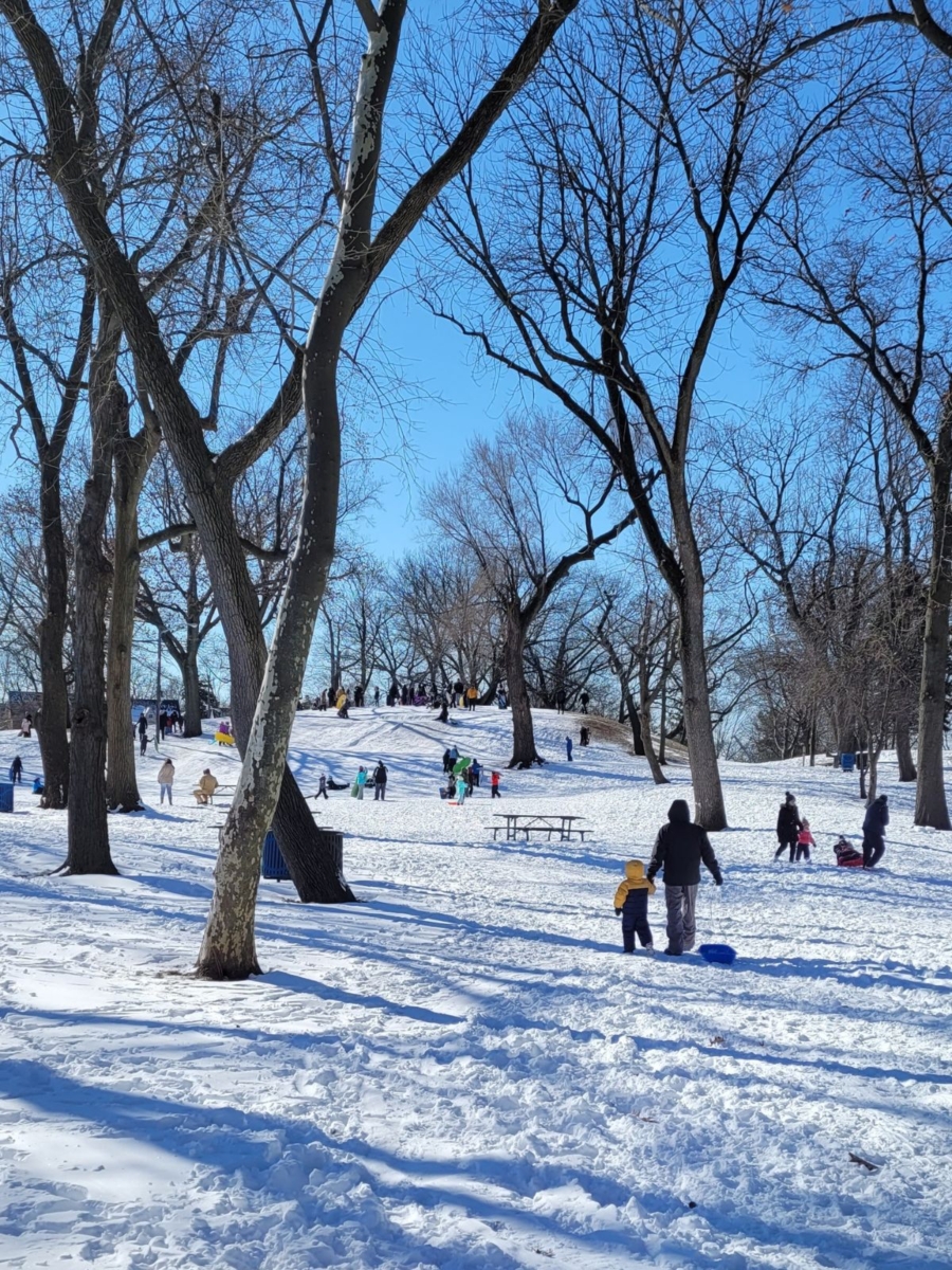 15 Fun Things To Do in Bayonne, NJ | The Mom Friend